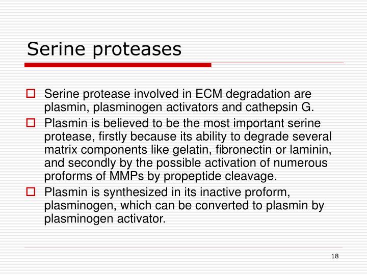 PPT - Molecular mechanism of cancer metastasis PowerPoint Presentation ...