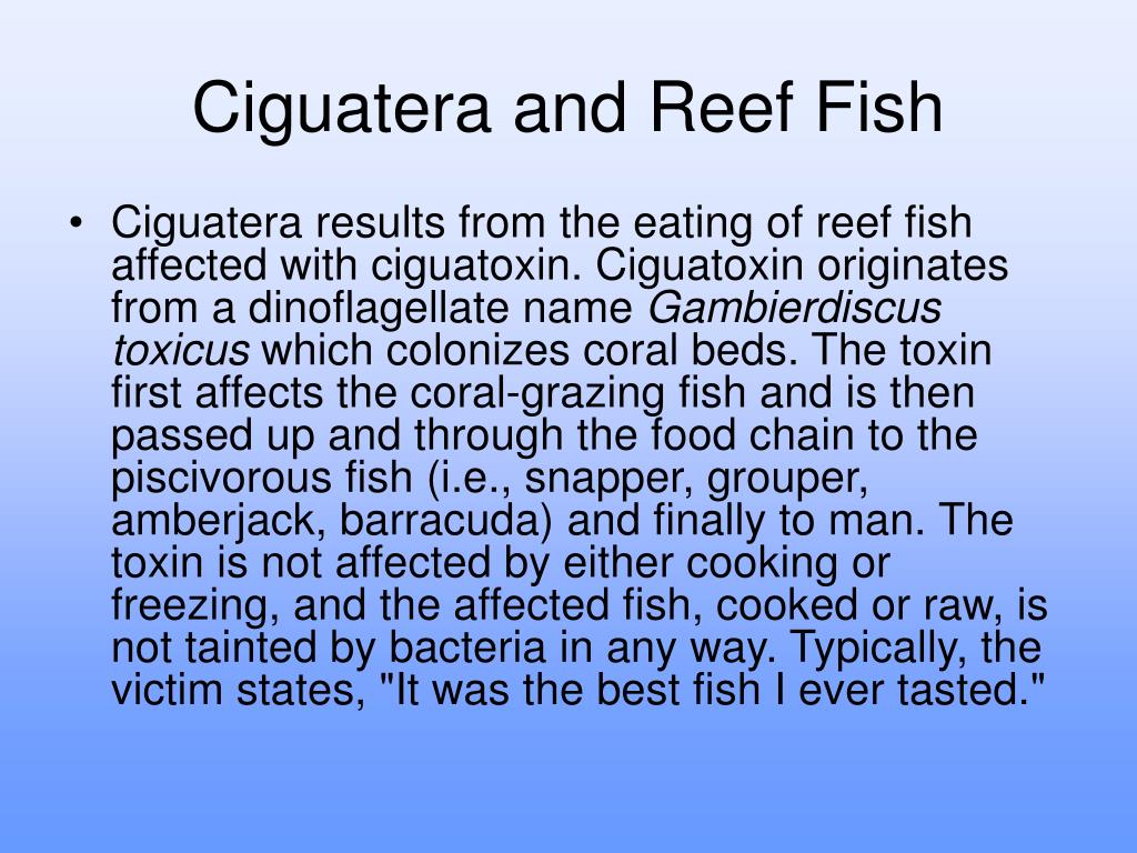 PPT - Dangerous Marine Organisms PowerPoint Presentation, free download ...