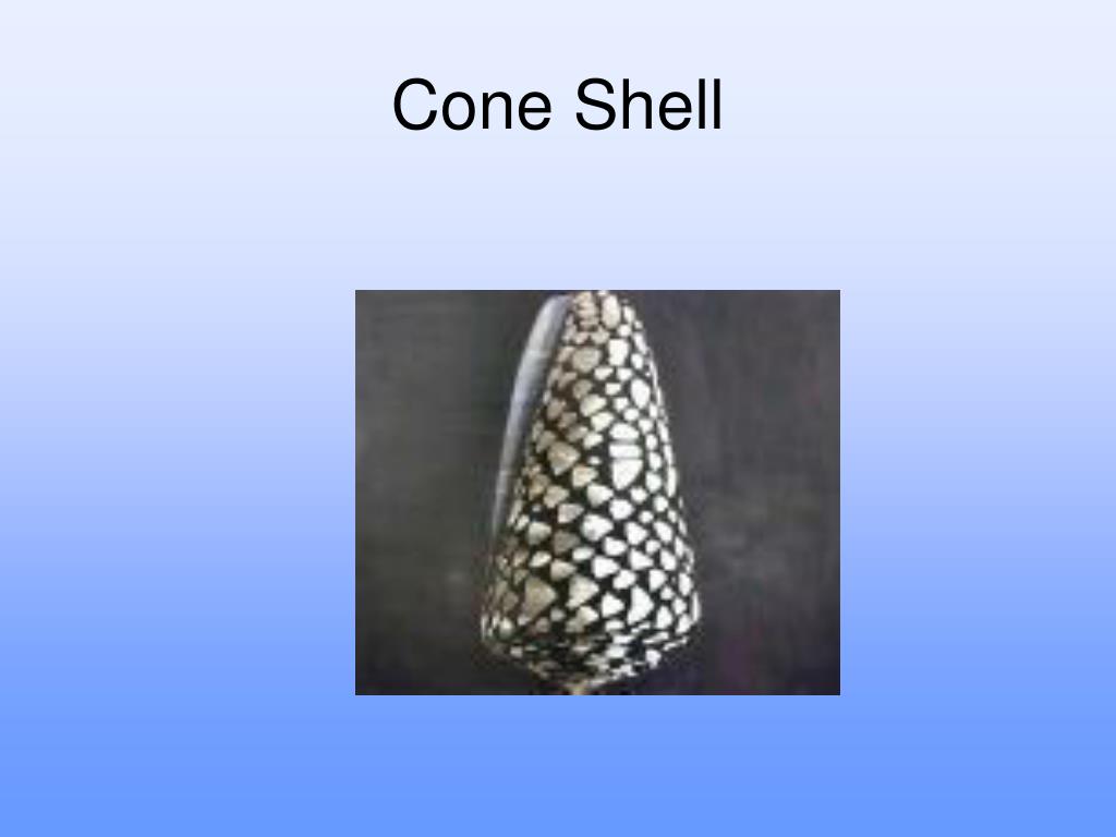 PPT - Dangerous Marine Organisms PowerPoint Presentation, free download ...