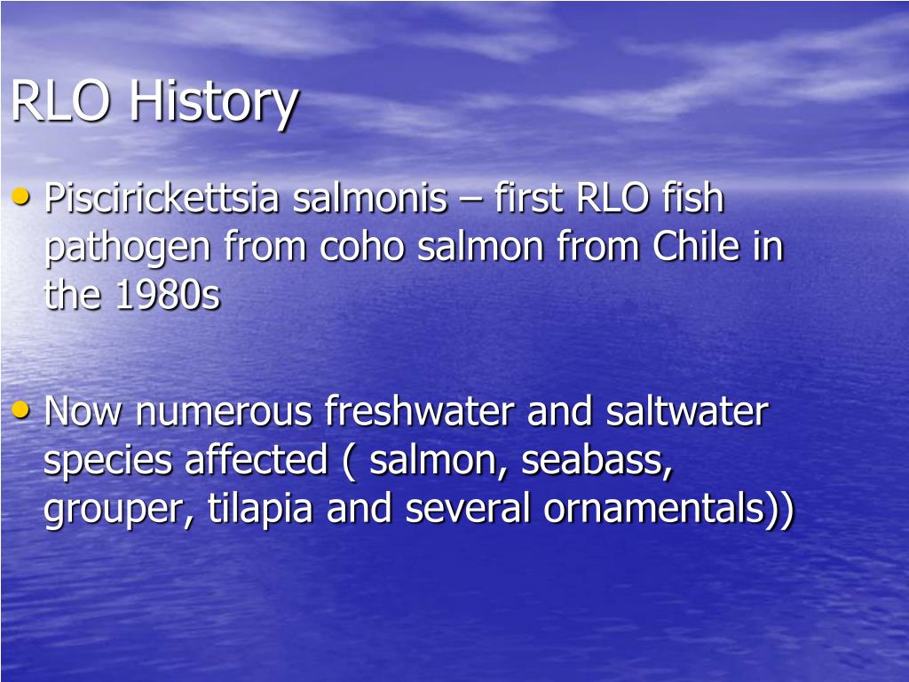PPT - Hawaiian Rickettsia –like Organism (HRLO) PowerPoint Presentation ...