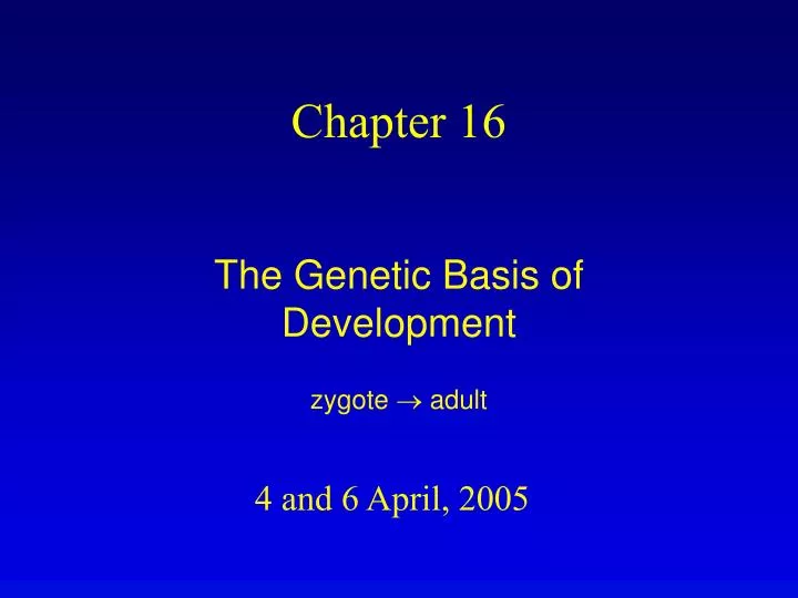 PPT - Chapter 16 PowerPoint Presentation, free download - ID:6770975