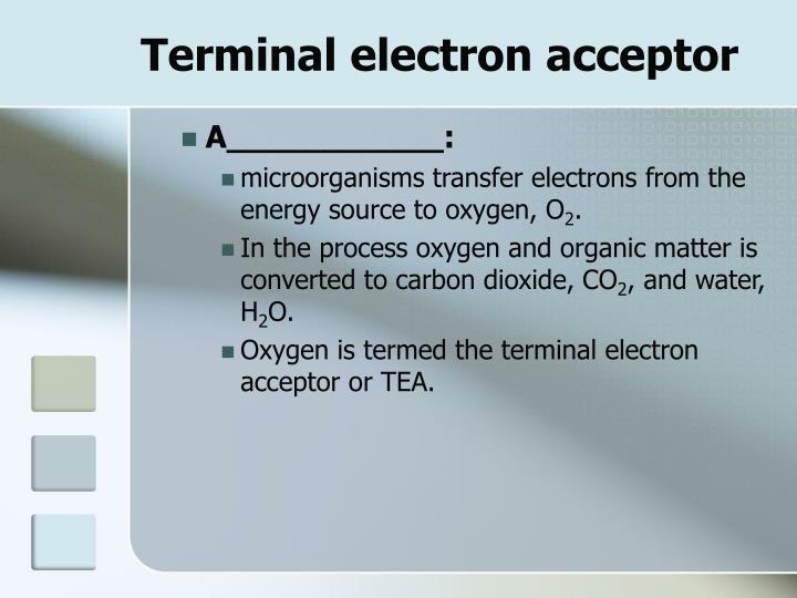 PPT - Wastewater Treatment PowerPoint Presentation - ID:6771164