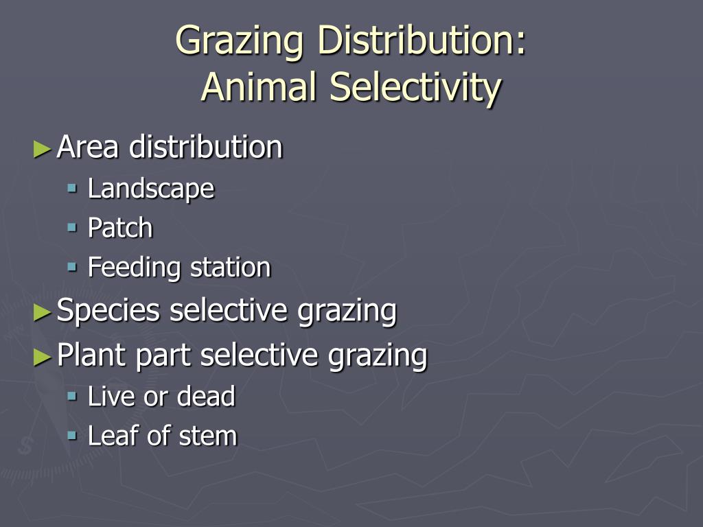 Ppt Grazing Management Principles For Rangelands Powerpoint Presentation Id6771246