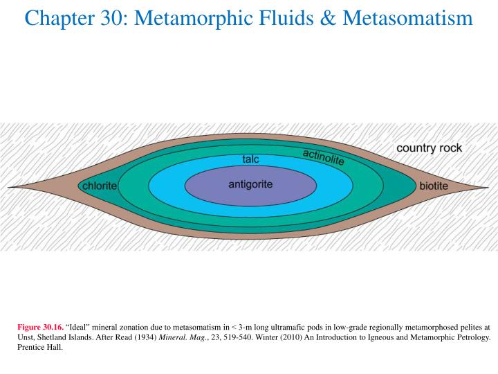 PPT - Chapter 30: Metamorphic Fluids and Metasomatism PowerPoint ...