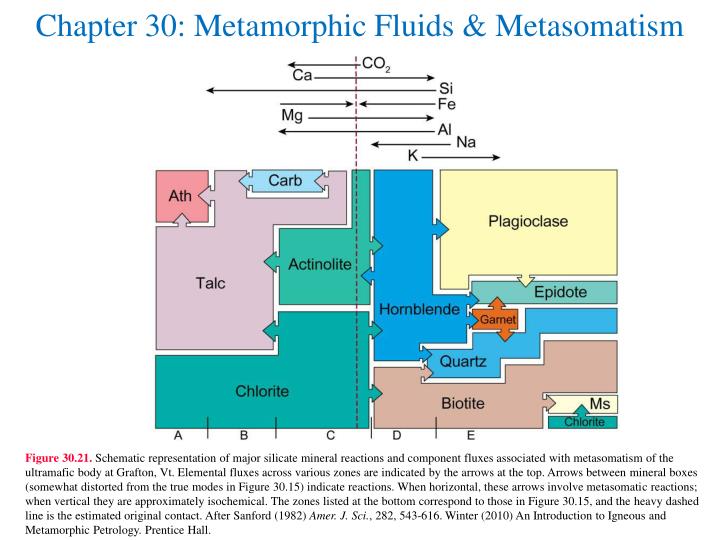 PPT - Chapter 30: Metamorphic Fluids and Metasomatism PowerPoint ...