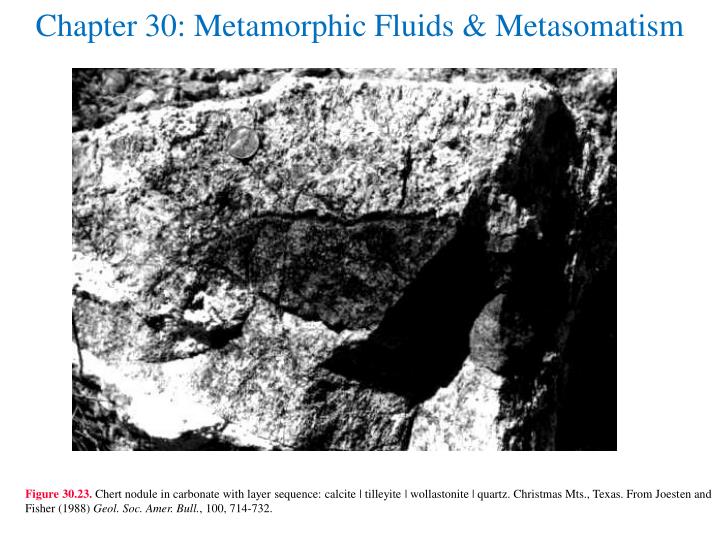 PPT - Chapter 30: Metamorphic Fluids and Metasomatism PowerPoint ...