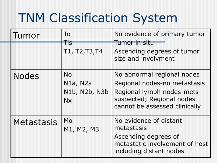 PPT - Cancer PowerPoint Presentation - ID:6772291