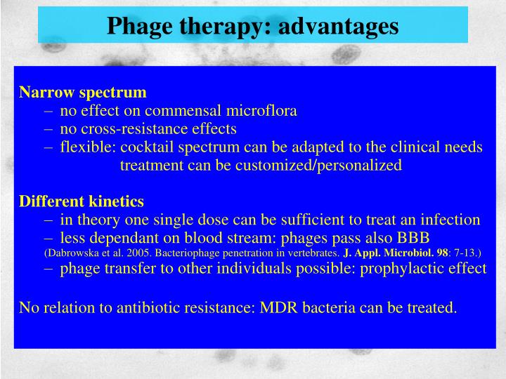 PPT - Phage therapy PowerPoint Presentation - ID:6772460