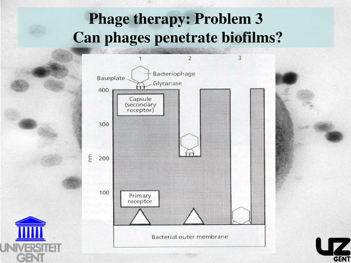 PPT - Phage therapy PowerPoint Presentation - ID:6772460