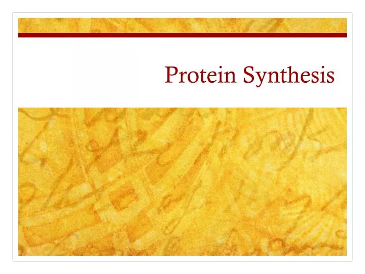PPT - Protein Synthesis PowerPoint Presentation, free download - ID:6772641