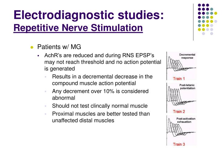 PPT - Myasthenia Gravis PowerPoint Presentation - ID:6773685