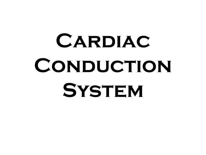 PPT - Cardiac Conduction System PowerPoint Presentation, free download ...