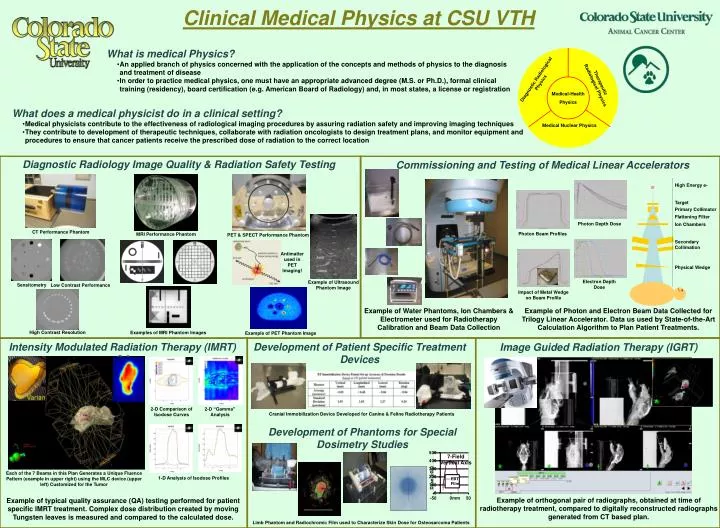 PPT - Clinical Medical Physics at CSU VTH PowerPoint Presentation, free ...