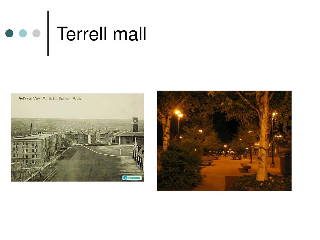 PPT - Society and Social Institutions PowerPoint Presentation, free ...