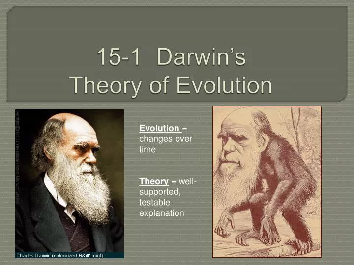 PPT - 15-1 Darwin’s Theory of Evolution PowerPoint Presentation, free ... PPT - 15-1 Darwin’s Theory of Evolution PowerPoint Presentation, free ...