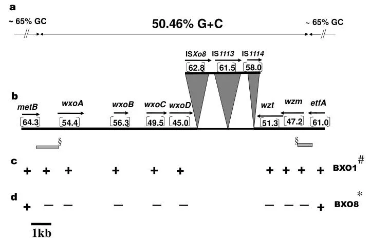 PPT - 1kb PowerPoint Presentation, free download - ID:6778359
