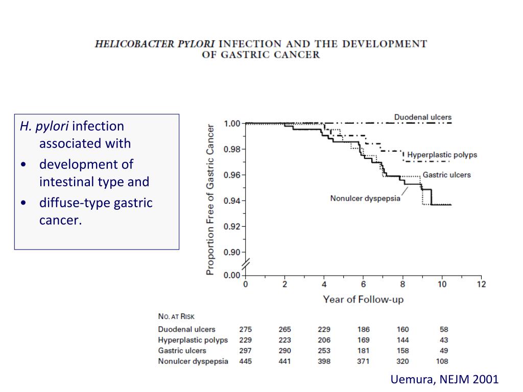 PPT - Helicobacter pylori and gastric cancer PowerPoint Presentation ...