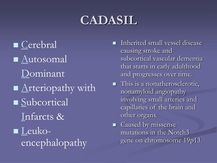 PPT - CADASIL PowerPoint Presentation - ID:6779560