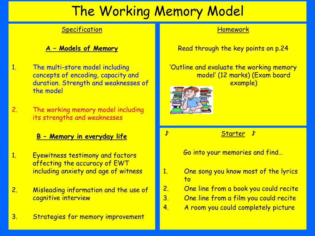 PPT The Working Memory Model PowerPoint Presentation Free Download
