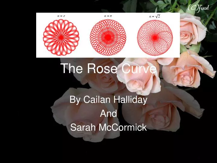 PPT - The Rose Curve PowerPoint Presentation, free download - ID:6781324