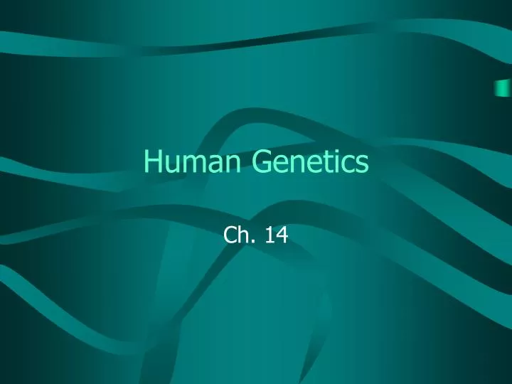 PPT - Human Genetics PowerPoint Presentation, free download - ID:6781516