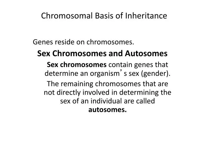 PPT - Chromosomal Basis of Inheritance PowerPoint Presentation, free ...