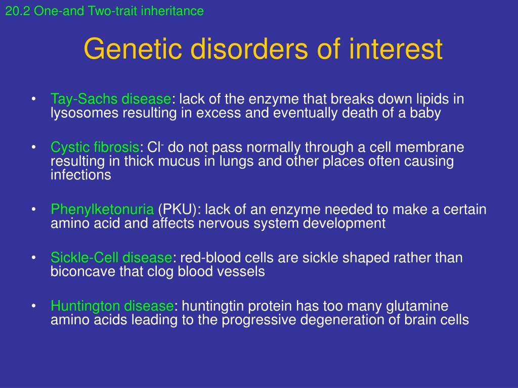 Ppt Chapter 20 Powerpoint Presentation Free Download Id 6781841