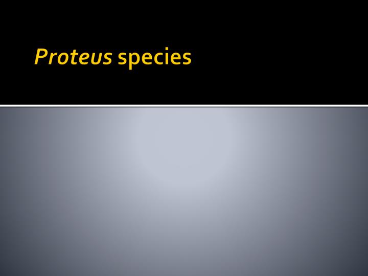 PPT - Enterobacteriaceae PowerPoint Presentation - ID:6782854