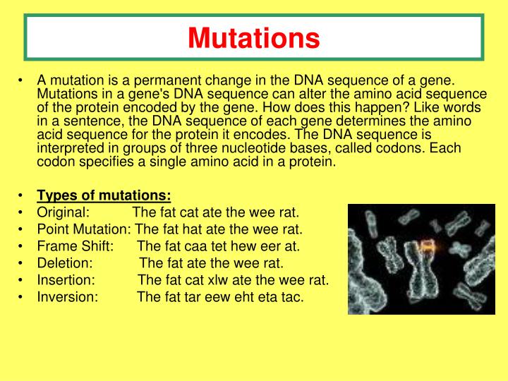 PPT - Unit 10 – DNA, RNA, & Protein Synthesis PowerPoint Presentation ...