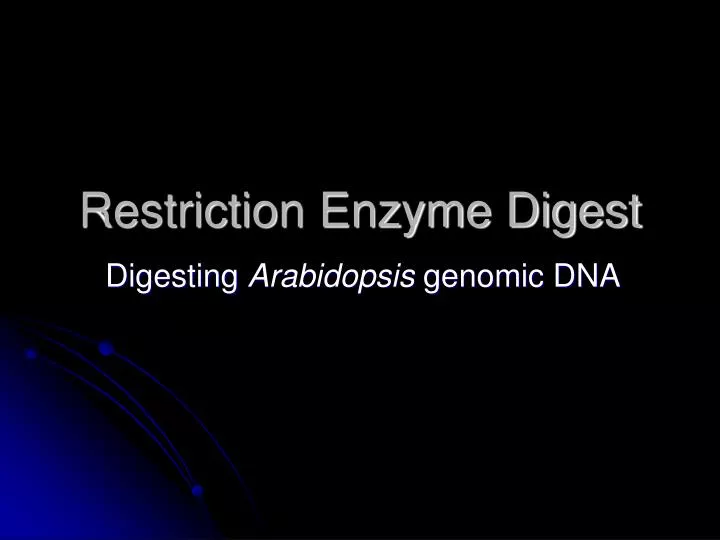 PPT - Restriction Enzyme Digest PowerPoint Presentation, free download ...