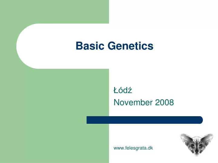 PPT - Basic Genetics PowerPoint Presentation, free download - ID:6783531