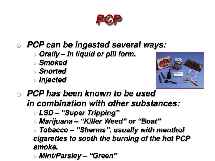 PPT - The Basics of Addiction: Drugs of Abuse PowerPoint Presentation ...