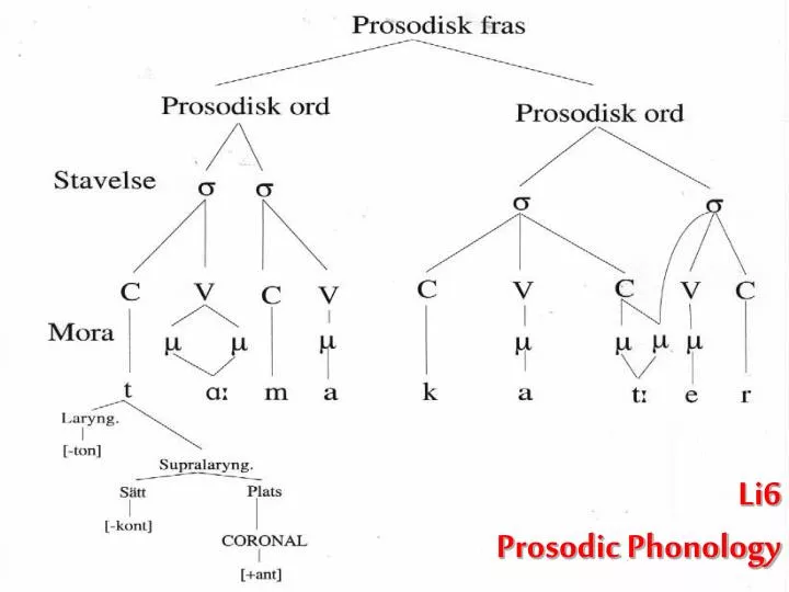 PPT - Li6 Prosodic Phonology PowerPoint Presentation, free download ...