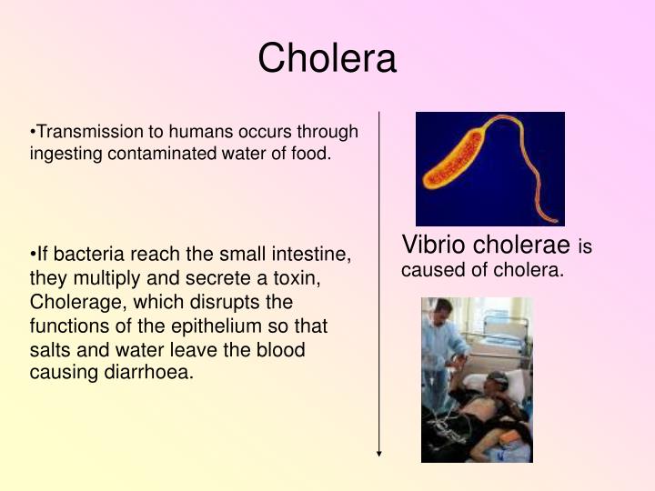 PPT - Disease PowerPoint Presentation - ID:6787003