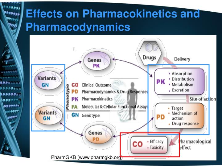 PPT - Pharmacogenomics in Community Pharmacy Practice: A Look into the ...