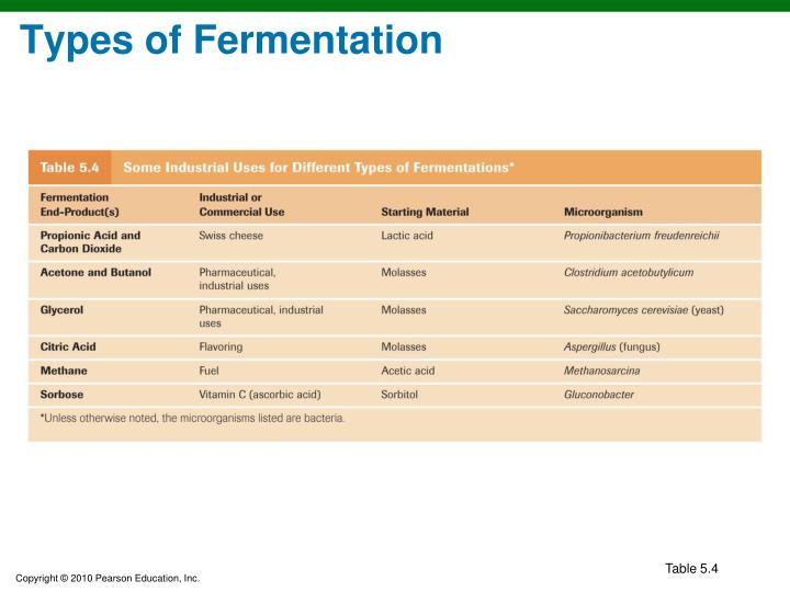 PPT - The Mechanism of Enzymatic Action PowerPoint Presentation - ID ...