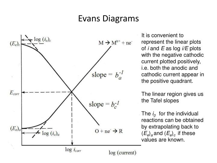 PPT - Evans Diagrams PowerPoint Presentation - ID:6788617