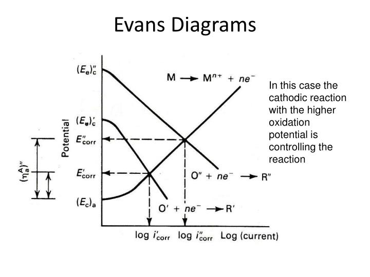 PPT - Evans Diagrams PowerPoint Presentation - ID:6788617