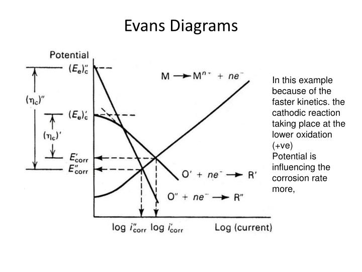 PPT - Evans Diagrams PowerPoint Presentation - ID:6788617