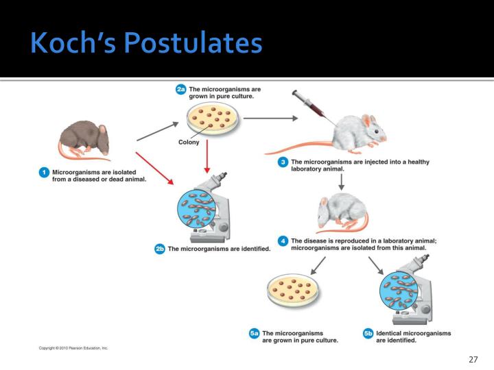 PPT - MICR 201 Microbiology for Health Related Sciences PowerPoint ...