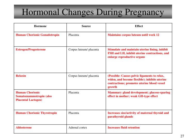 PPT - Chapter 28 Pregnancy, Growth, & Development Lecture 21 PowerPoint ...