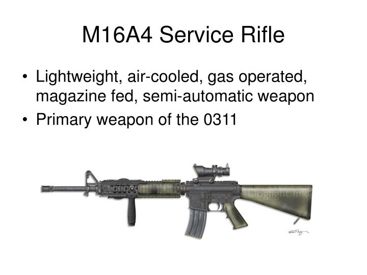 PPT - 0311 Rifleman PowerPoint Presentation - ID:6789068