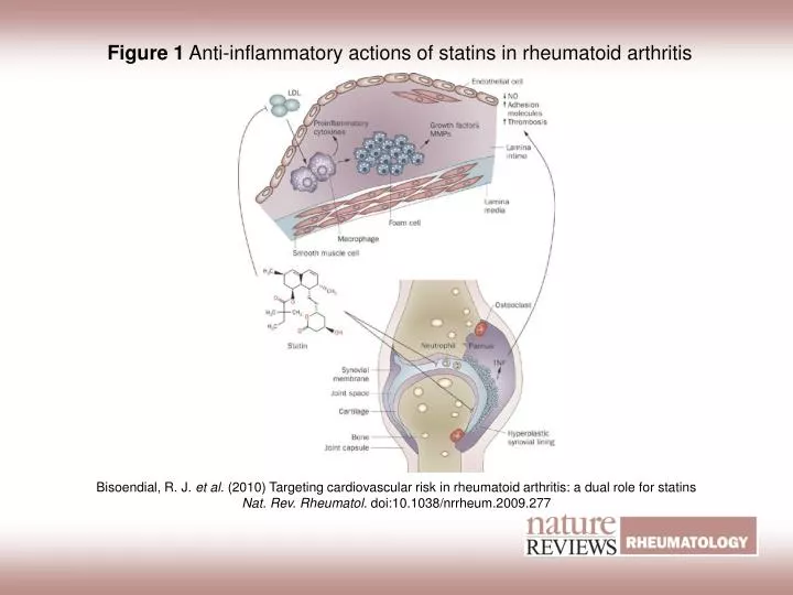 PPT - Figure 1 Anti-inflammatory actions of statins in rheumatoid ...