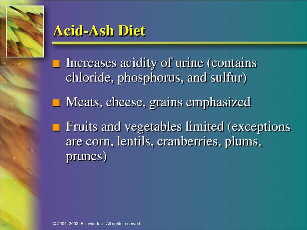 PPT - Medical Nutrition Therapy for Renal Disorders PowerPoint ...