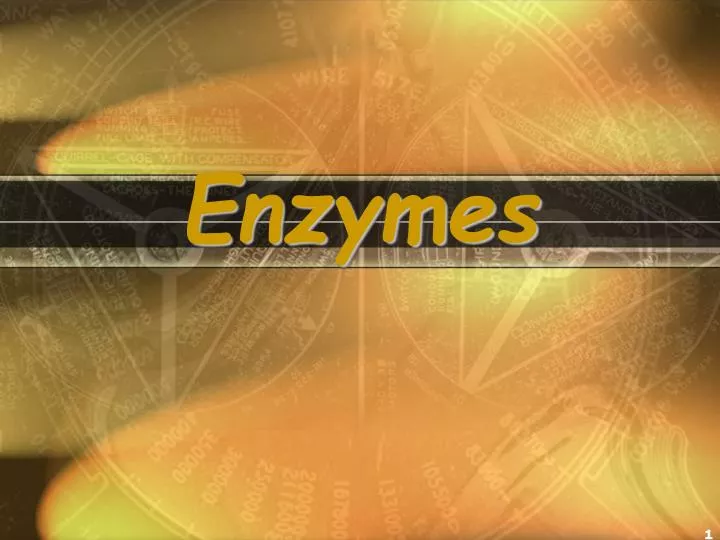 PPT - Enzymes PowerPoint Presentation, free download - ID:6790364