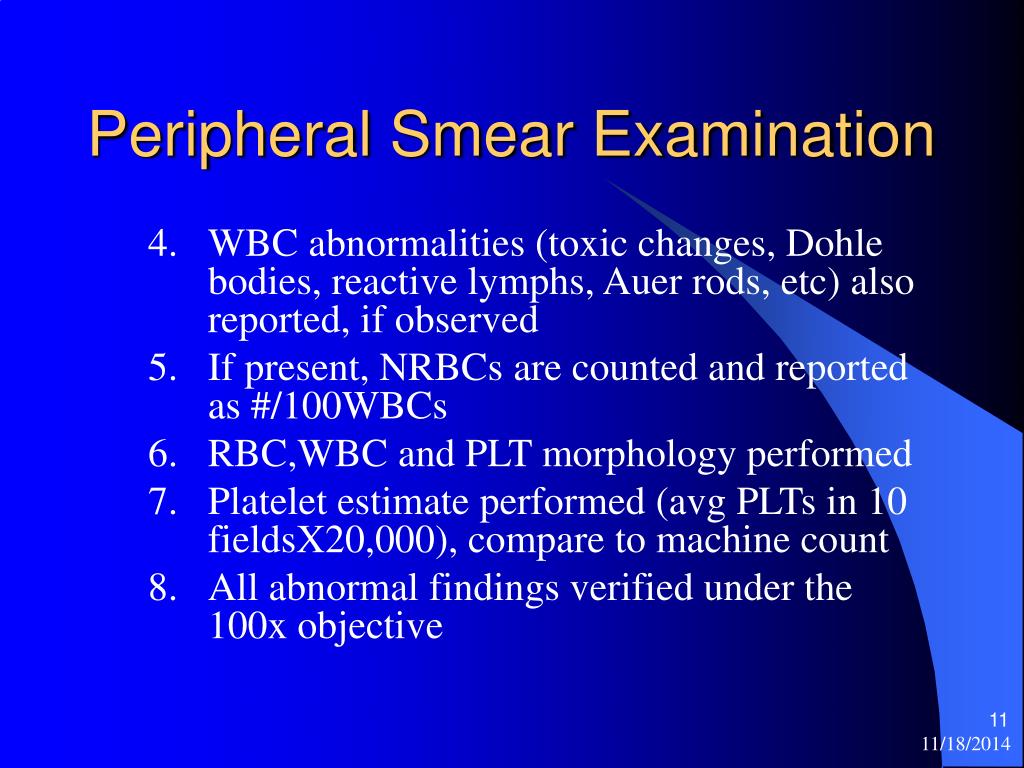 PPT - Hematology 425 Hematopoiesis PowerPoint Presentation, free ...