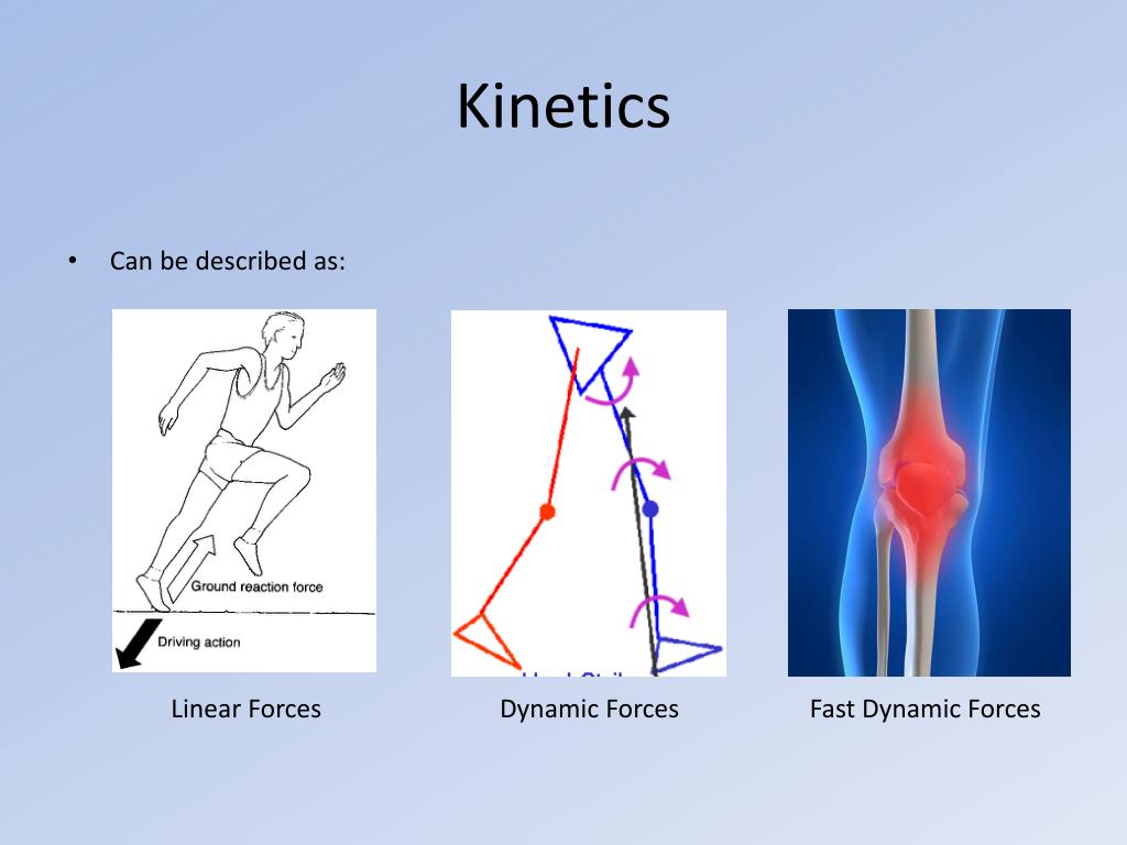 Ppt Measuring The Kinetics And Kinematics Of Human Gait Powerpoint