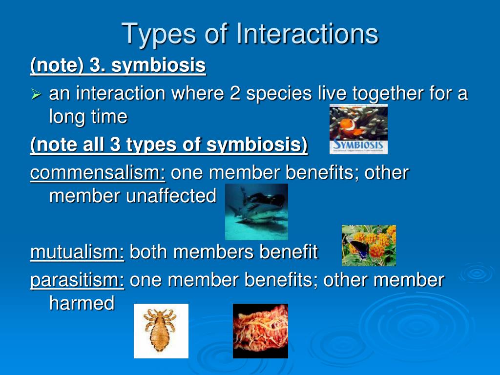 Ppt Interactions Among Living Things Powerpoint Presentation Free
