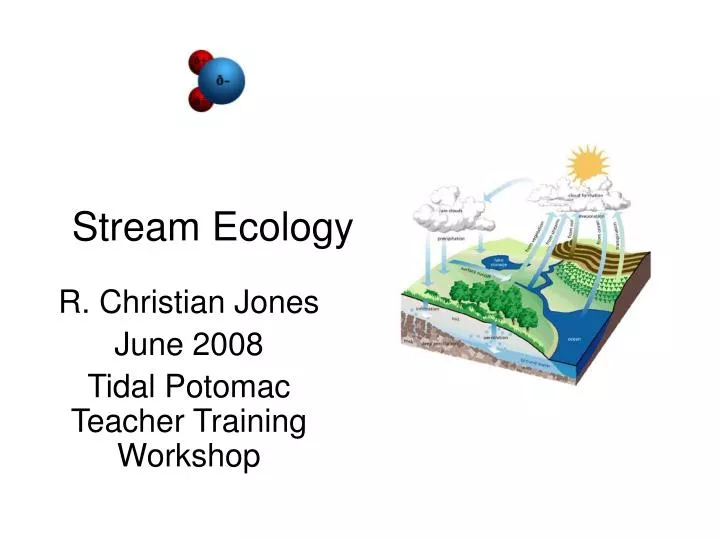 PPT - Stream Ecology PowerPoint Presentation, free download - ID:6792123