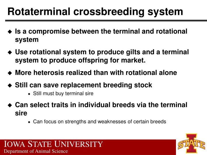 PPT - Developing and Implementing A Genetic Improvement Program ...